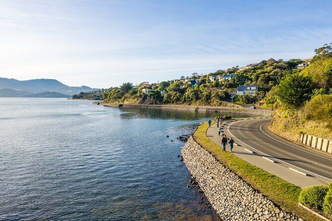 Non-Electric Bike Rental - The Value of This Experience