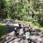Noosa: E-Bike Tour from Mt Tinbeerwah to Noosa - Who Would Love This Tour?