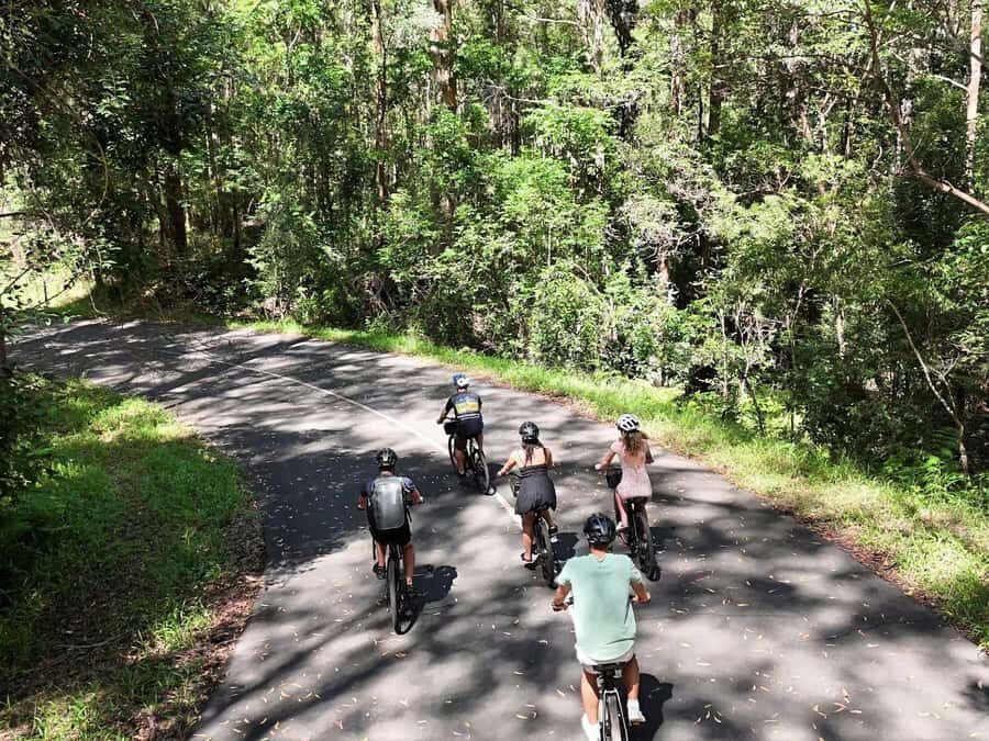 Noosa: E-Bike Tour from Mt Tinbeerwah to Noosa - Who Would Love This Tour?