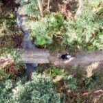 Noosa eMtn Bike Tour: Exploring a National Park on Fun MTB Trails - In-Depth Breakdown of the Itinerary