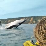 Noosa: Epic Whale Watching Ocean Kayak Tour & Beach 4X4 - What makes this tour special?