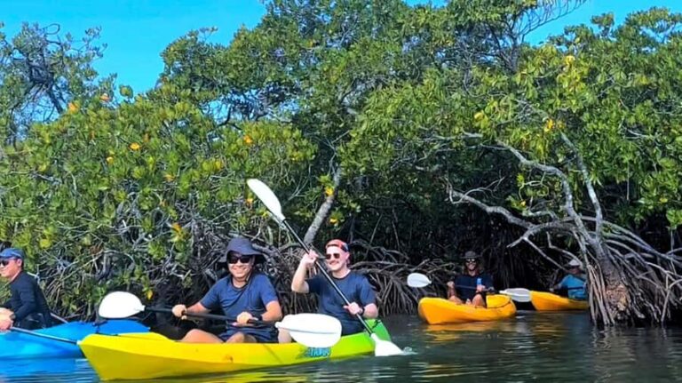 Noosa Heads: Hidden Waterways Wildlife Kayak (Self-Guided) - Practical Details and Logistics
