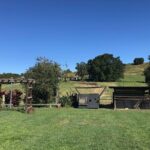 Noosa Hinterland Tour with Lunch, Wine & Cheese Tasting & more - FAQ