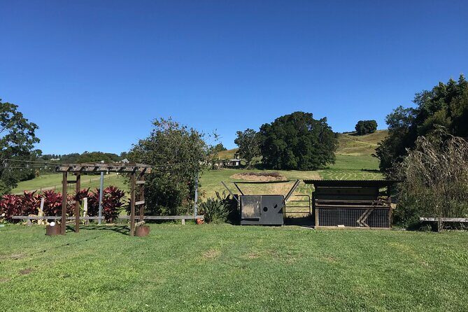 Noosa Hinterland Tour with Lunch, Wine & Cheese Tasting & more - FAQ