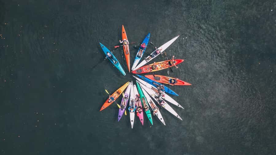 Noosa River: Mangroves and Mansions Guided Kayak Tour - Detailed Breakdown of the Itinerary