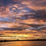 Noosa River Sunset Cruise - What to Bring and Tips for the Trip