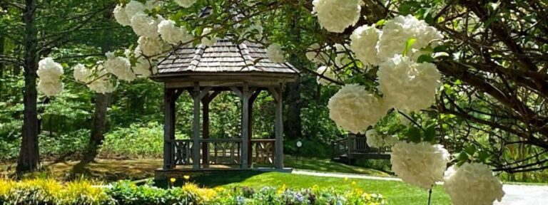 North Atlanta: Gibbs Gardens Self-Guided Slingshot Tour - The Practical Details