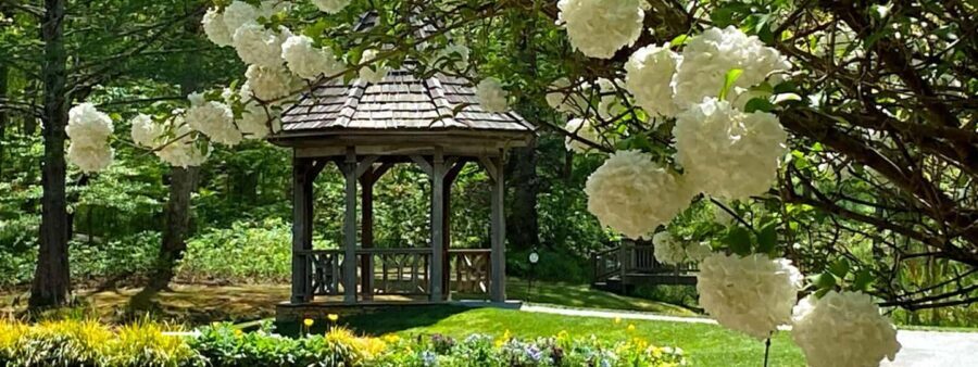 North Atlanta: Gibbs Gardens Self-Guided Slingshot Tour - The Practical Details