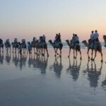 North of Rocks on Cable Beach: 1-Hour Sunset Camel Ride - A Closer Look at the Itinerary