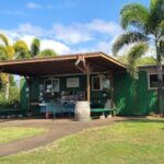 North Shore's best day! River, Turtles, Farm with Lunch - What to Expect on the Tour