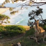 North Stradbroke Island Private Cultural Tour from Brisbane - Point Lookout: Spectacular Coastal Views