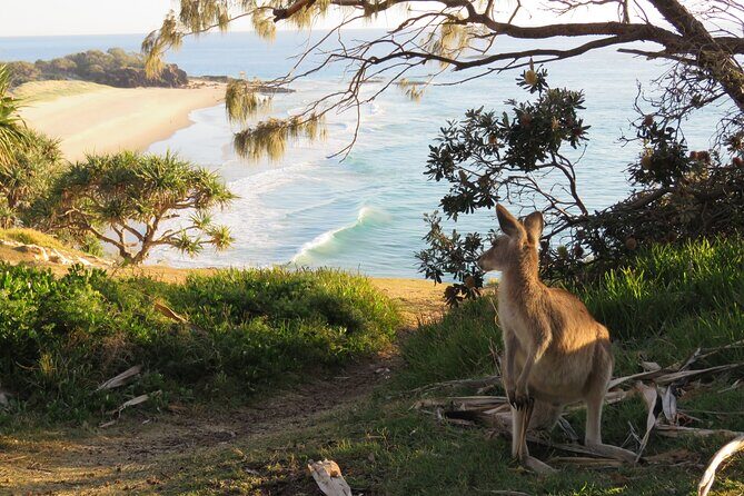 North Stradbroke Island Private Cultural Tour from Brisbane - Point Lookout: Spectacular Coastal Views