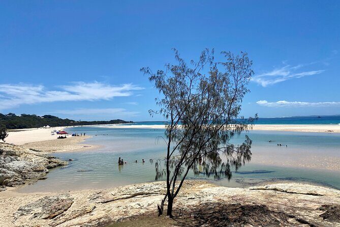 North Stradbroke Island WILDLIFE Adventure Tour from Brisbane - Who Should Consider This Tour?