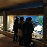 North Vancouver Discovery Private Tour - What Sets This Tour Apart?