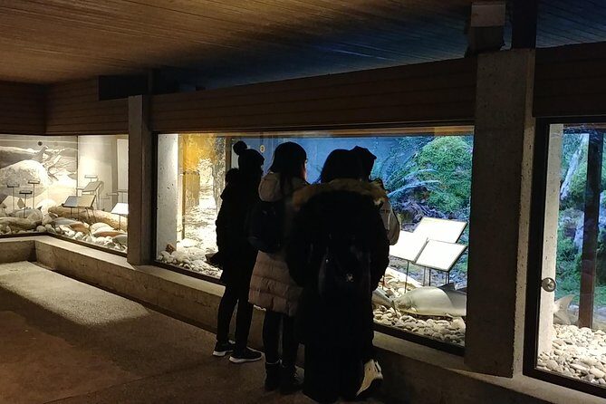 North Vancouver Discovery Private Tour - What Sets This Tour Apart?