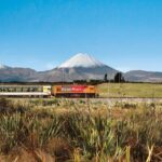 Northern Explorer Train Journey from Auckland to Wellington - Practical Tips for Your Trip