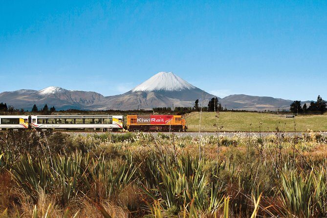 Northern Explorer Train Journey from Auckland to Wellington - Practical Tips for Your Trip