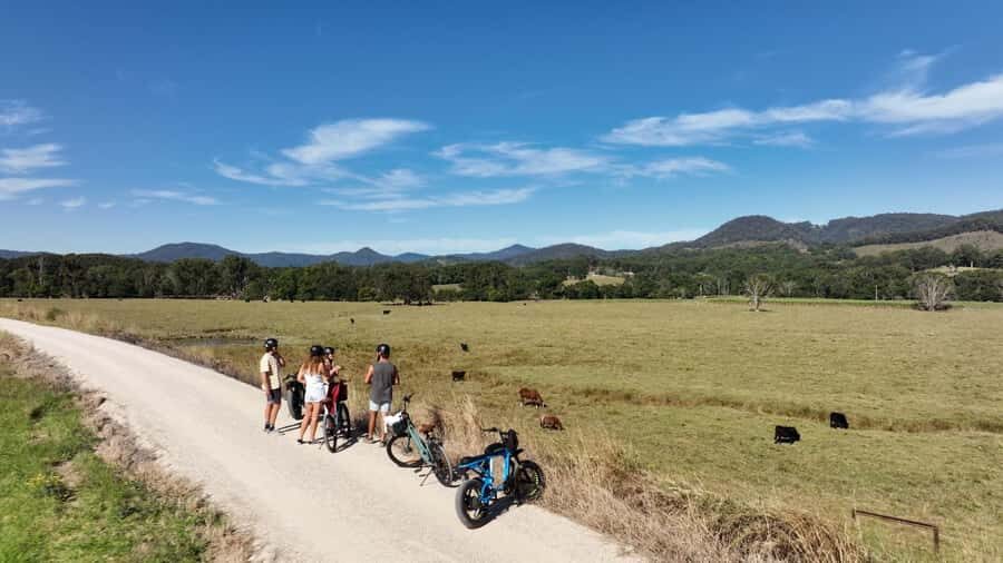 Northern Rivers Rail Trail E-Bike Hire w Shuttle from Byron - The Scenic Highlights: What You’ll See and Experience