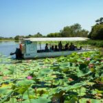Northern Territory: Corroboree Billabong Nature Cruises - Authentic Reviews and Insights