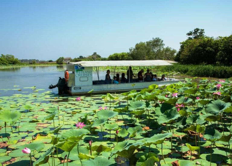Northern Territory: Corroboree Billabong Nature Cruises - Authentic Reviews and Insights