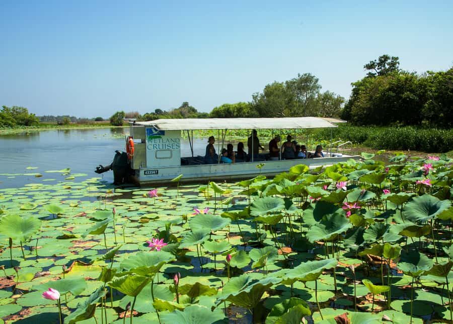 Northern Territory: Corroboree Billabong Nature Cruises - Authentic Reviews and Insights