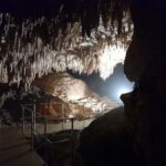 Northland Hidden Gems: Glowworm Cave, Beach & Art Café - Why This Tour Works Well