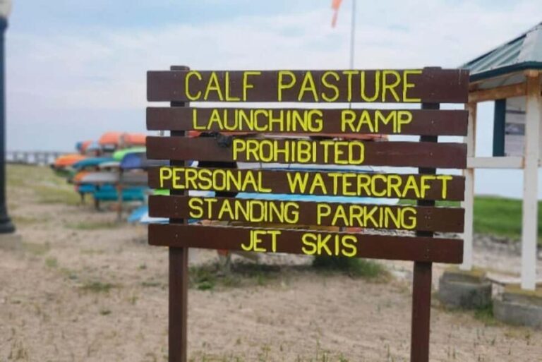 Norwalk: Paddleboard Rental at Calf Pasture Beach - Equipment and Safety: What’s Included