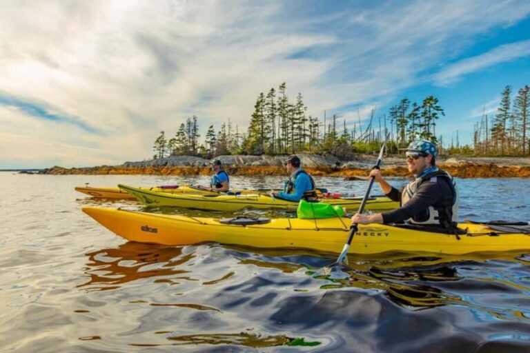 Nova Scotia: Guided Half-Day LaHave Islands Sea Kayak Tour - What to Expect: A Detailed Breakdown of Your Paddle Day
