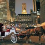 NYC : Central Park by Night: Horse-Drawn Carriage Ride - Key Points