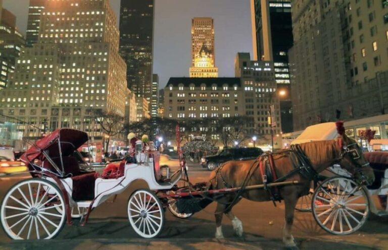 NYC : Central Park by Night: Horse-Drawn Carriage Ride - Key Points