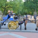NYC: Central Park Horse-Drawn Carriage Ride - Who This Tour Is Best For