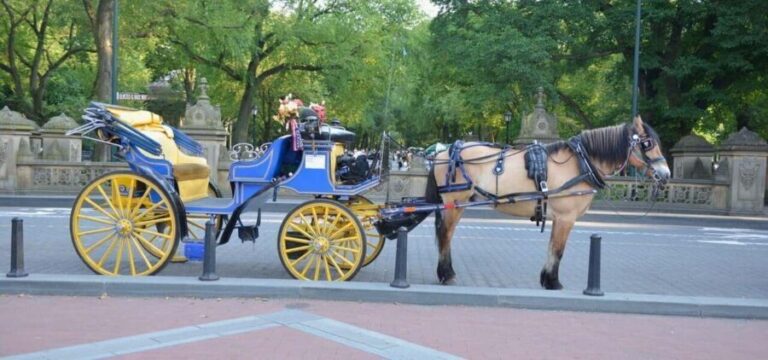 NYC: Central Park Horse-Drawn Carriage Ride - Who This Tour Is Best For