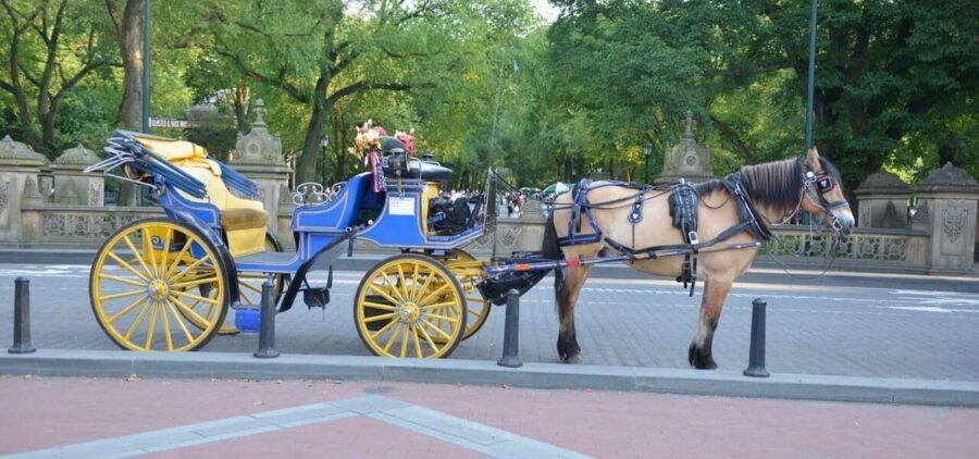 NYC: Central Park Horse-Drawn Carriage Ride - Who This Tour Is Best For