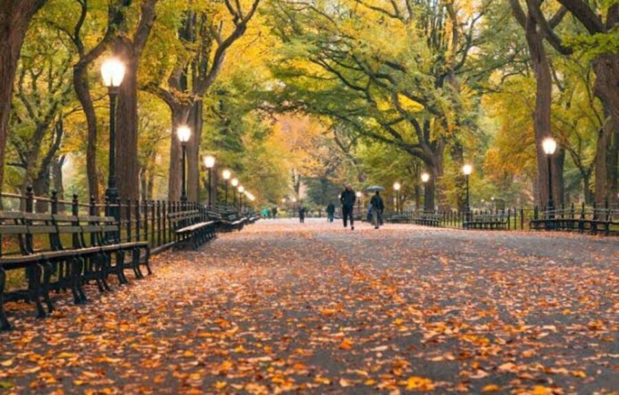 NYC: Central Park Zoo & Central Park Guided Walking Tour - Who Would Love This Tour?