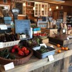 NYC: Classic Wine Country Guided Bike Tour - The Experience from a Traveler’s Perspective