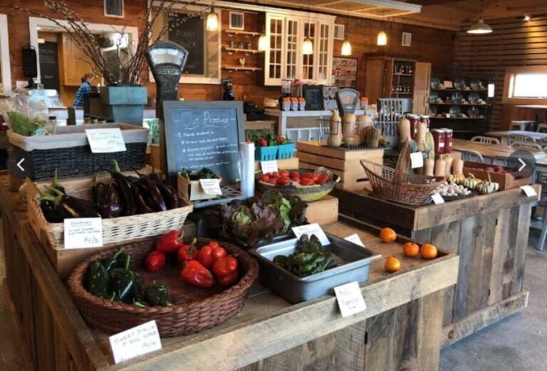 NYC: Classic Wine Country Guided Bike Tour - The Experience from a Traveler’s Perspective