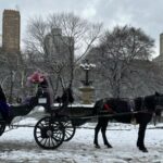NYC: Empire State Horses Carriage Ride in Central Park - Who Is This Carriage Ride Best Suited For?