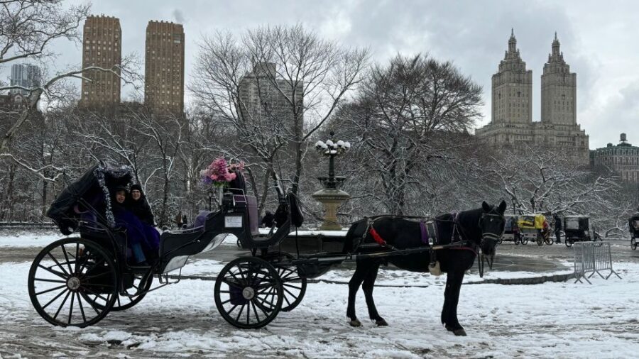 NYC: Empire State Horses Carriage Ride in Central Park - Who Is This Carriage Ride Best Suited For?
