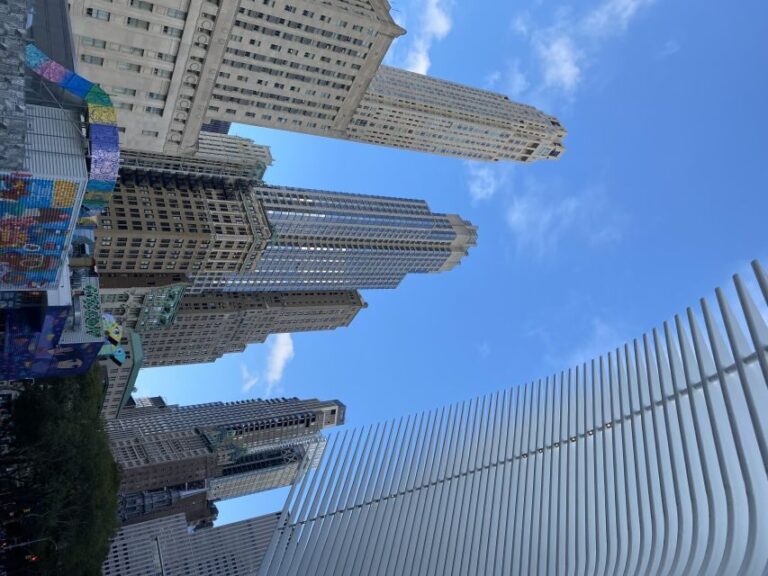 NYC | French guided tour Southern Manhattan