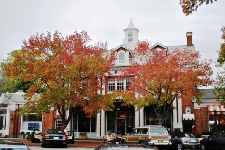 NYC: Hamptons Private Day Tour - An In-Depth Look at the Tour Experience