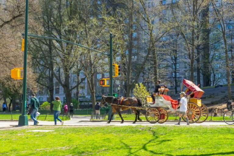 NYC Private Central Park Horse Carriage Ride with Guide - What Reviewers Say
