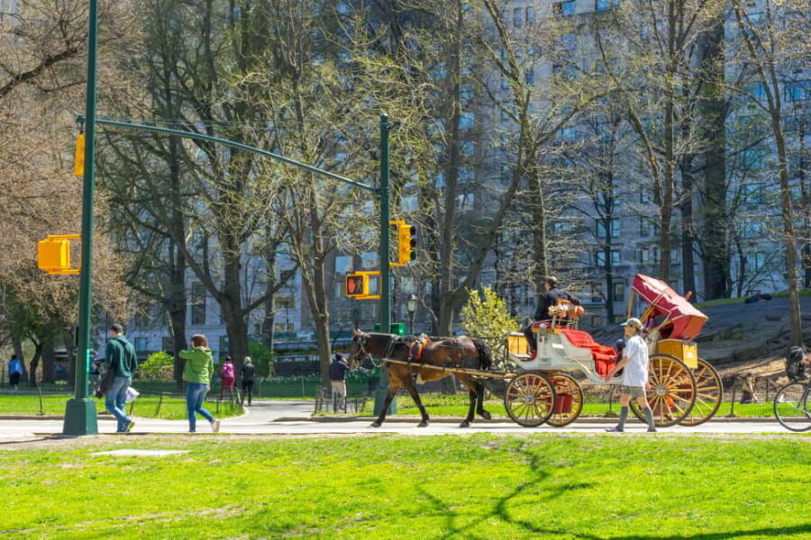 NYC Private Central Park Horse Carriage Ride with Guide - What Reviewers Say