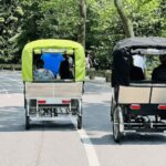 NYC: Private Central Park Pedicab Tours / PICKUP FROM MUSEUM - Itinerary Breakdown and What to Expect
