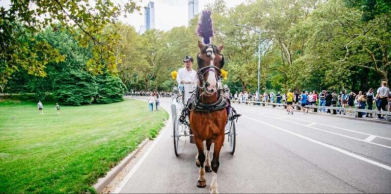 NYC: Private Christmas Lights Horse Carriage Ride - Why This Experience Is Worth Considering