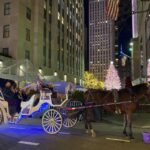 NYC: Private Christmas Lights Horse Carriage Ride - The Experience: What to Expect from the Tour