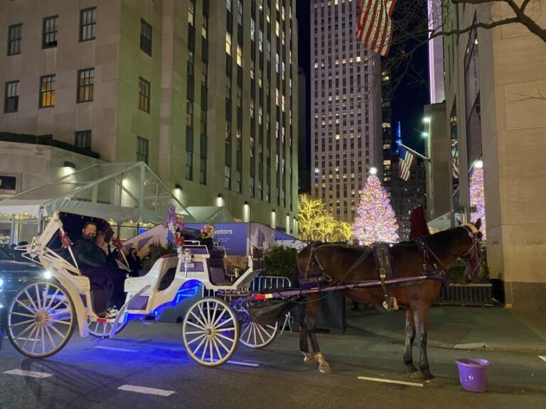 NYC: Private Christmas Lights Horse Carriage Ride - The Experience: What to Expect from the Tour
