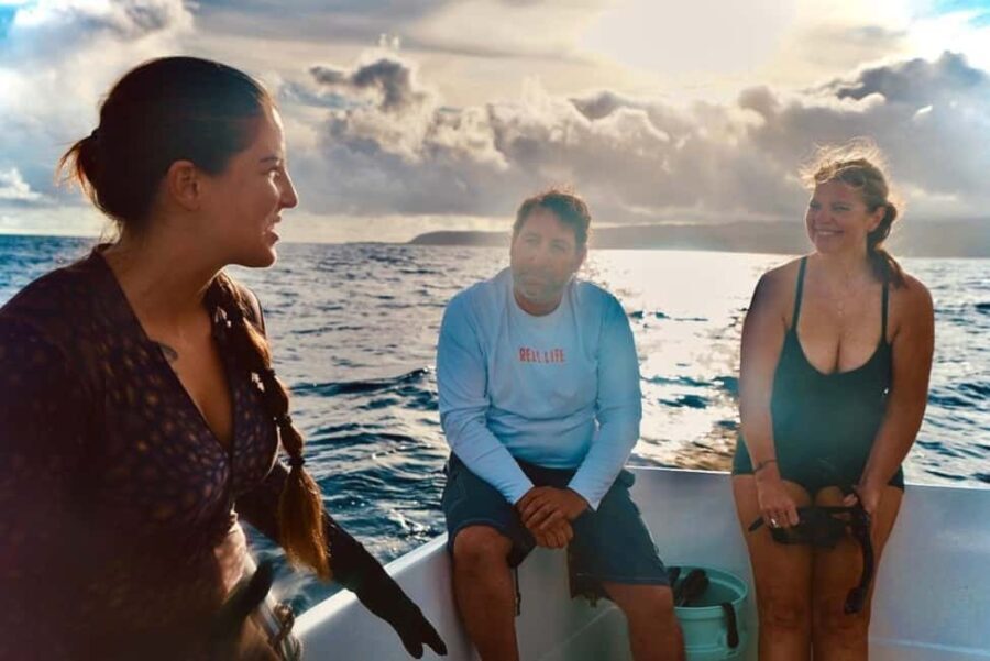 Oahu: Cageless Shark Dive Adventure - Why This Tour Is a Great Choice