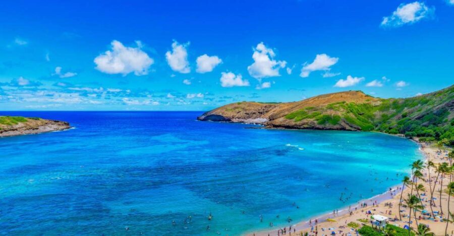 Oahu: Circle Island Top Sights Full-Day Tour w/ Local Guide - Transportation, Group Size, and Overall Experience