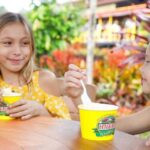 Oahu: Dole Plantation & Haleiwa Express Deluxe Tour - Who Is This Tour Best For?