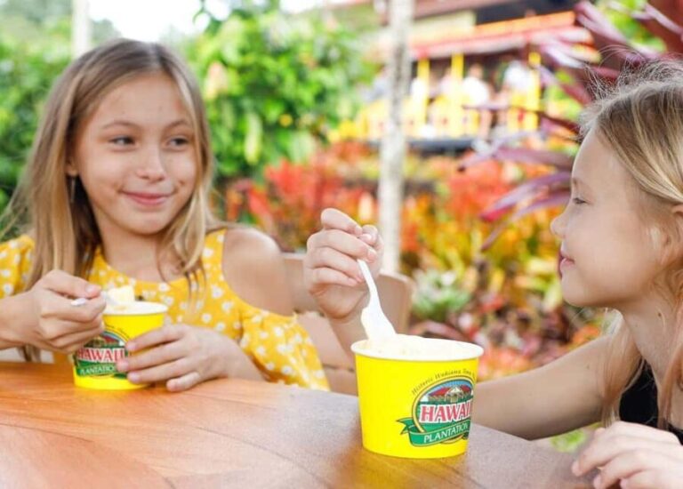 Oahu: Dole Plantation & Haleiwa Express Deluxe Tour - Who Is This Tour Best For?